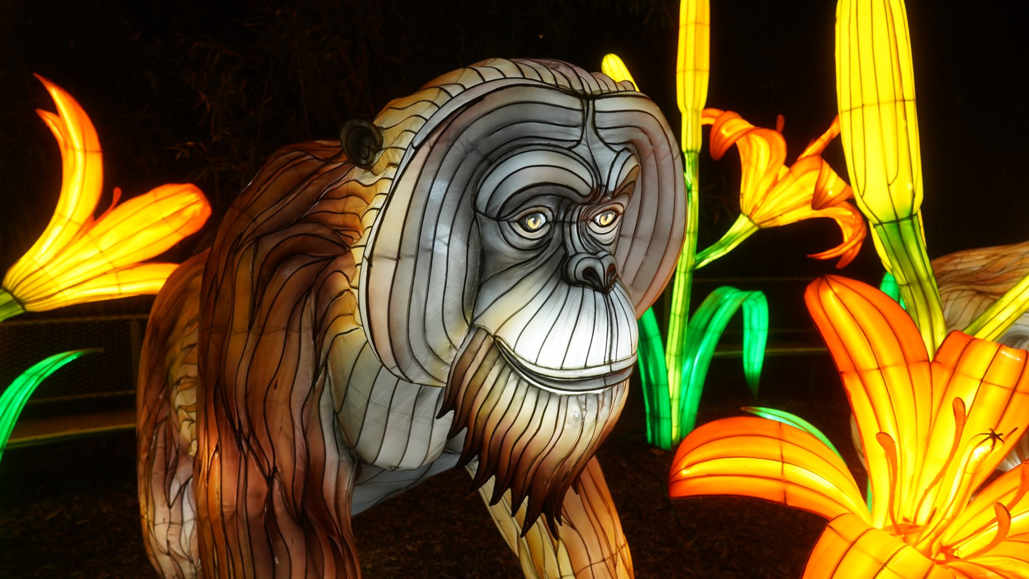 China Light Festival at Zoo Cleves - China Light