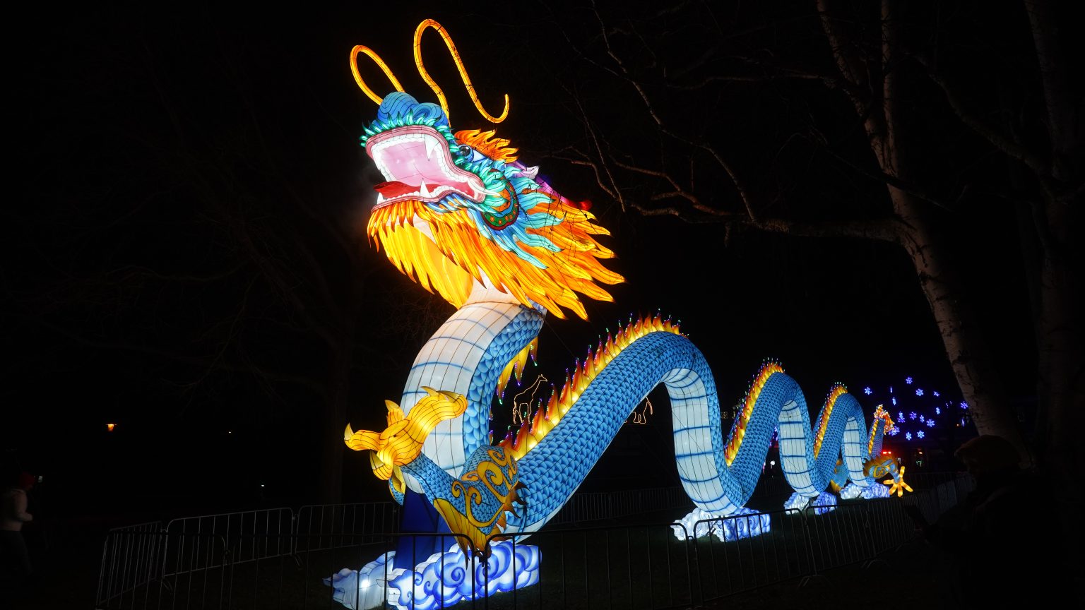 Magische Lichtwelten im Zoo Halle - China Light